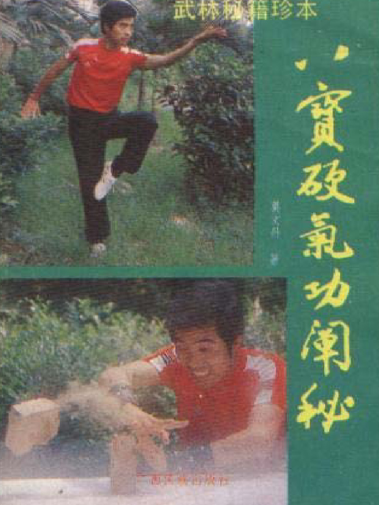 Mo Wen Dan Ba Bao Ying Qi Gong Chan Mi Mo Vendan Raziasnenie | PDF