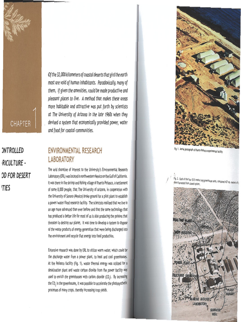 Zayed Miracle Chap1-2 | PDF