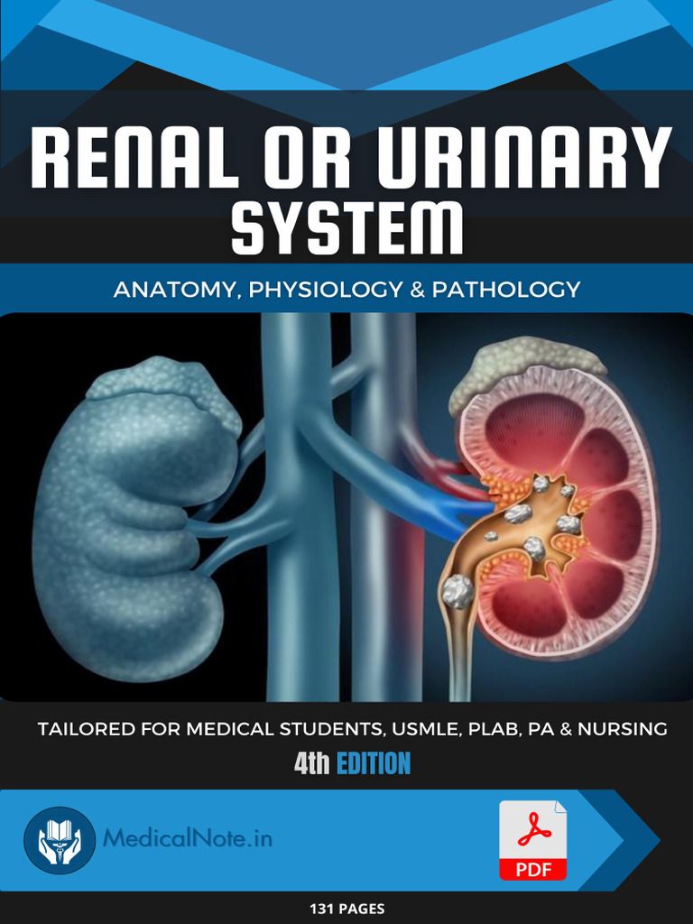 Renal System Sample | PDF