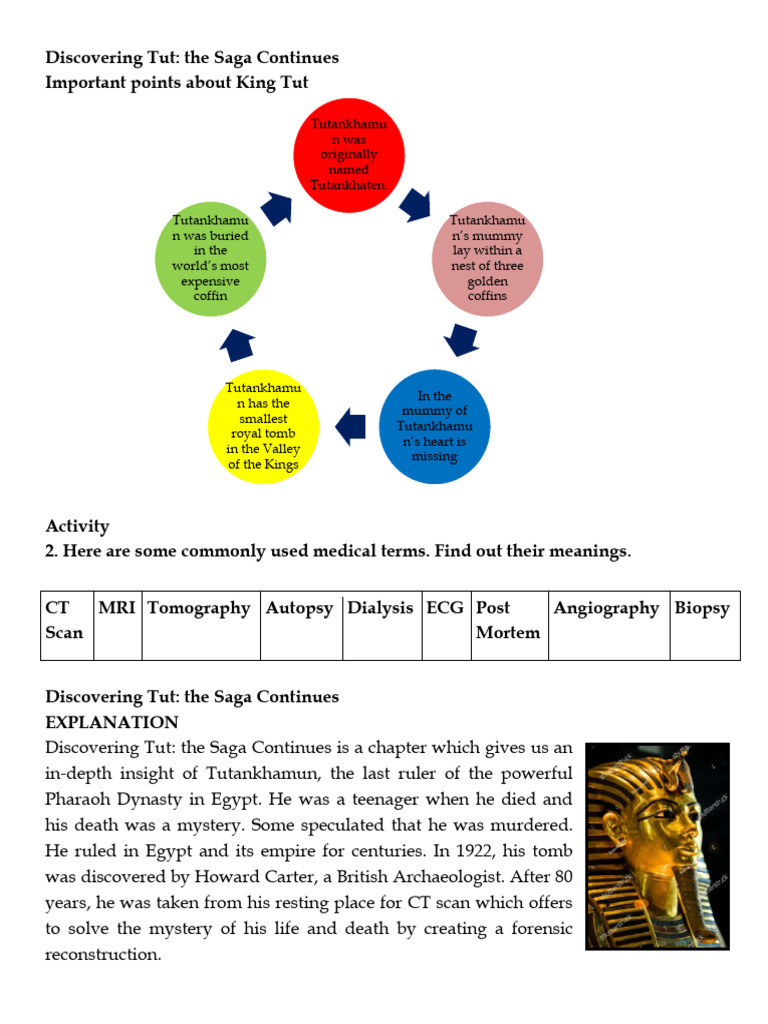 2 XI Discovering Tut Explanation Q Ans | PDF | Tutankhamun | Akhenaten