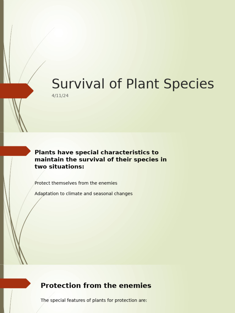 Survival of Plant Species | PDF | Trees | Leaf