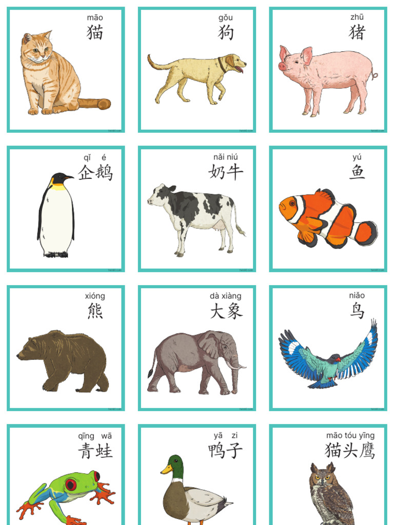 Chinese Animal Names List | PDF