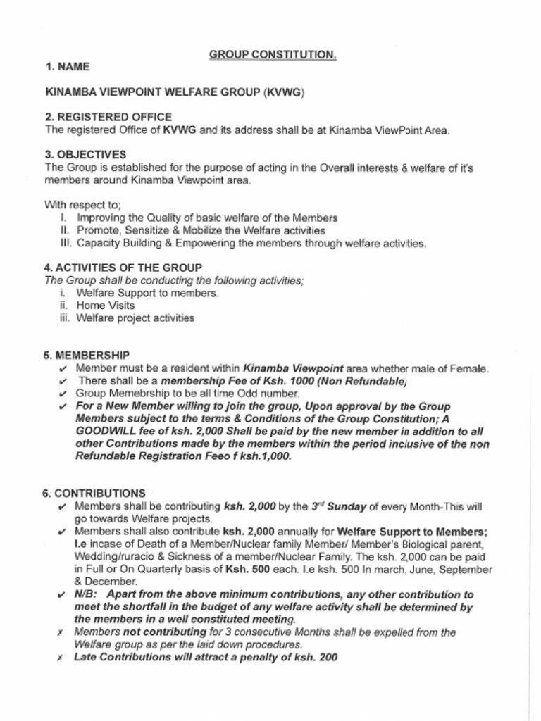 Group Constitution | PDF