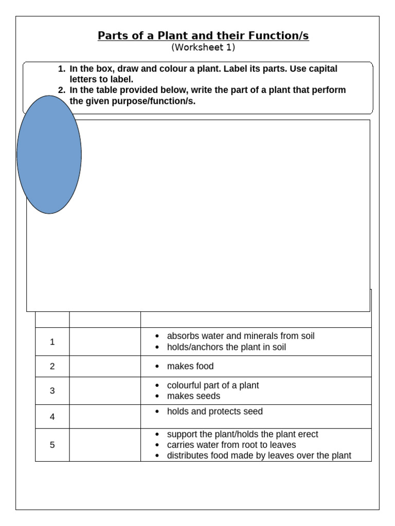 1Parts of a Plant and Their Functions(Worksheet 1) (1) | PDF