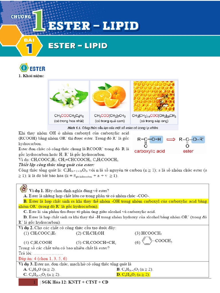 Bai 1 Ester Lipid Ban Giao Viendocx 1600 PDF.gdrive.vip (1) | PDF