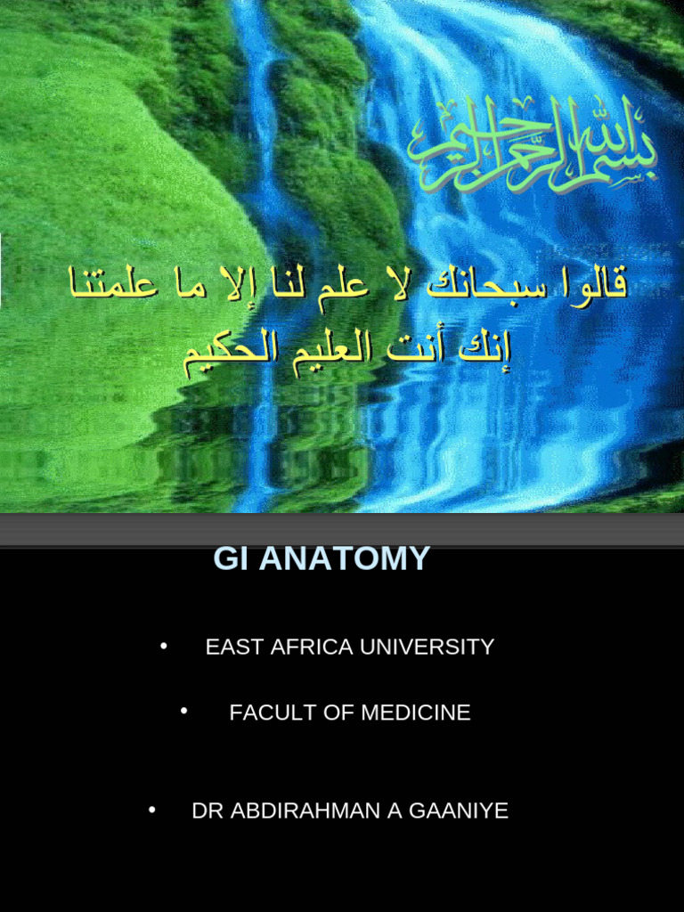 Lecture 11 Duodenum. | PDF | Pancreas | Small Intestine