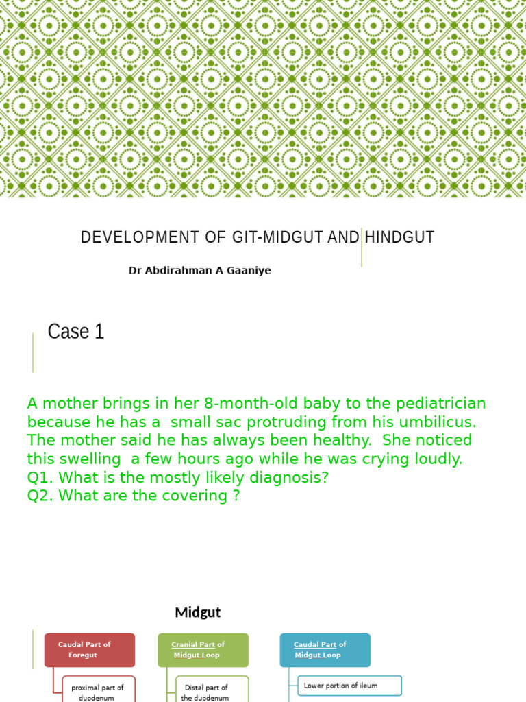 Lecture 5 B Development of Git-Midgut-Hindgut-Mcq | PDF | Small ...