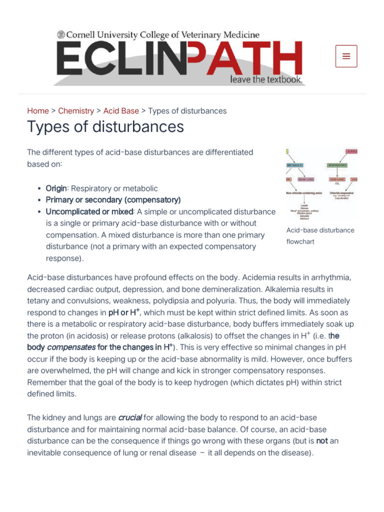 Types of Disturbances - Eclinpath | PDF | Kidney | Bicarbonate