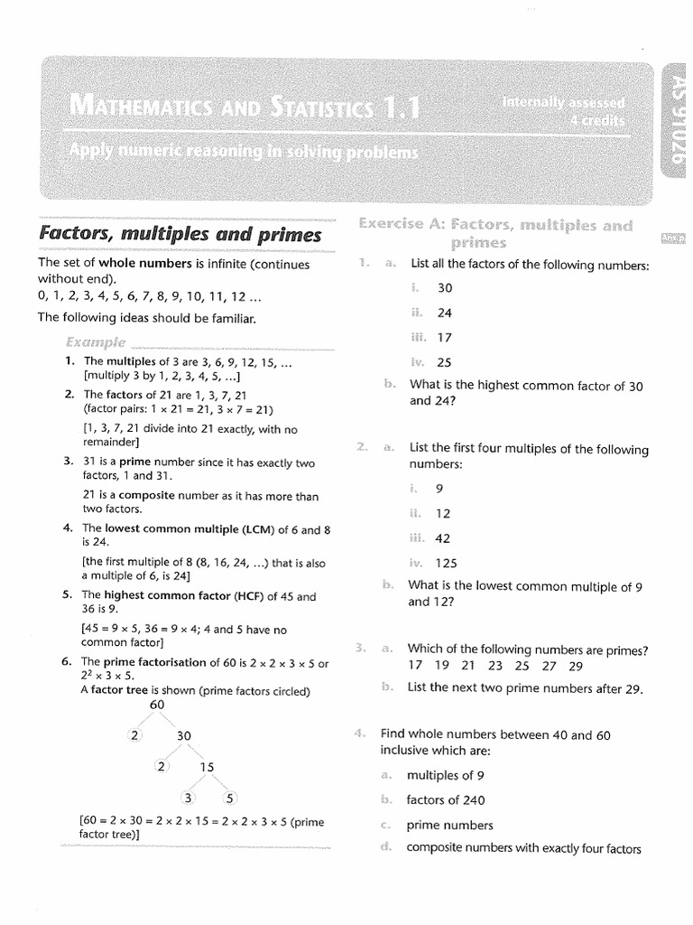 Y9 Level 1 Workbook - NCEA Number | PDF