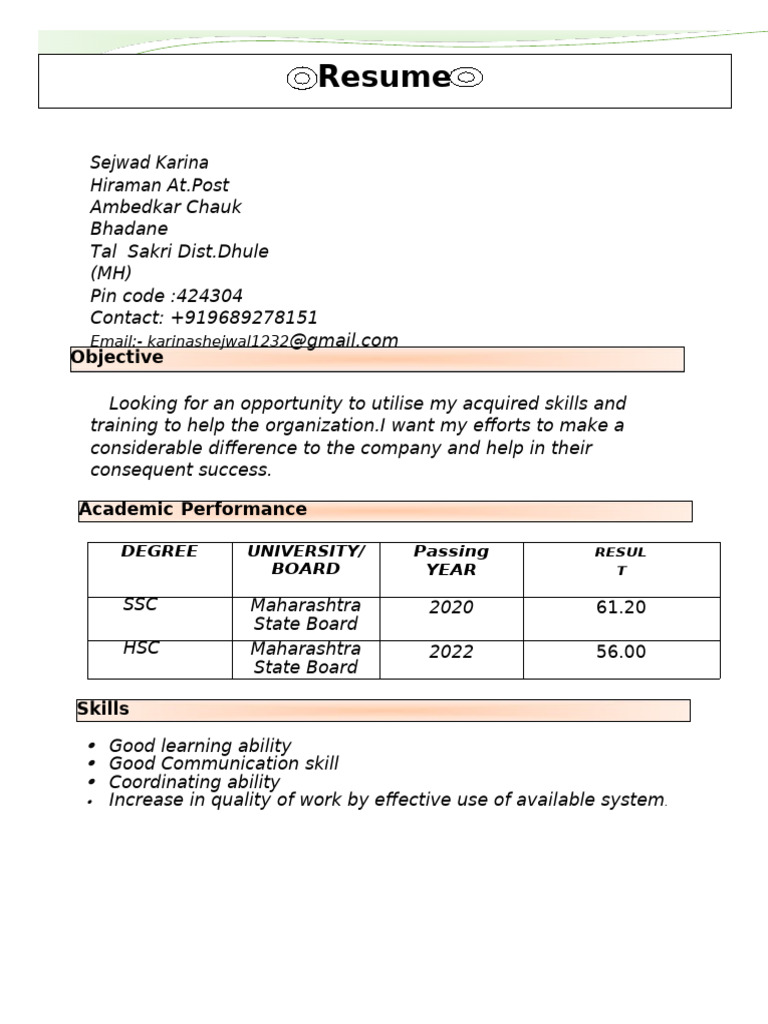 Sejwad Karina's Resume Overview | PDF