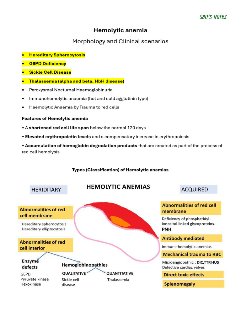 Hemolytic Anemia: Types & Diagnosis | PDF | Anemia | Red Blood Cell