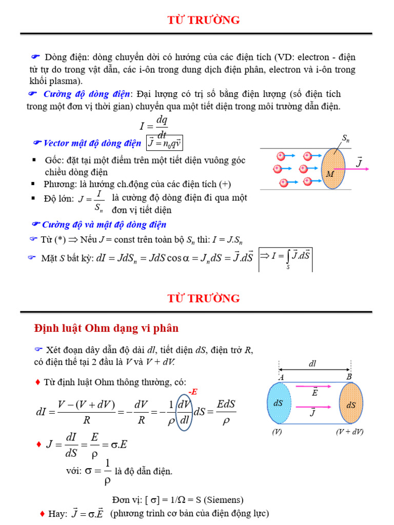 5 - Tu truong Ôn tập 2023 | PDF
