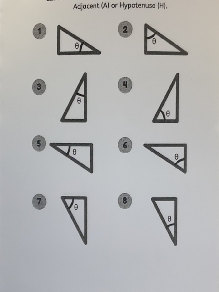 Labeling Practice | PDF