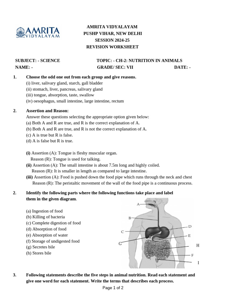 Class 7 Science: Nutrition in Animals | PDF | Digestion | Bile