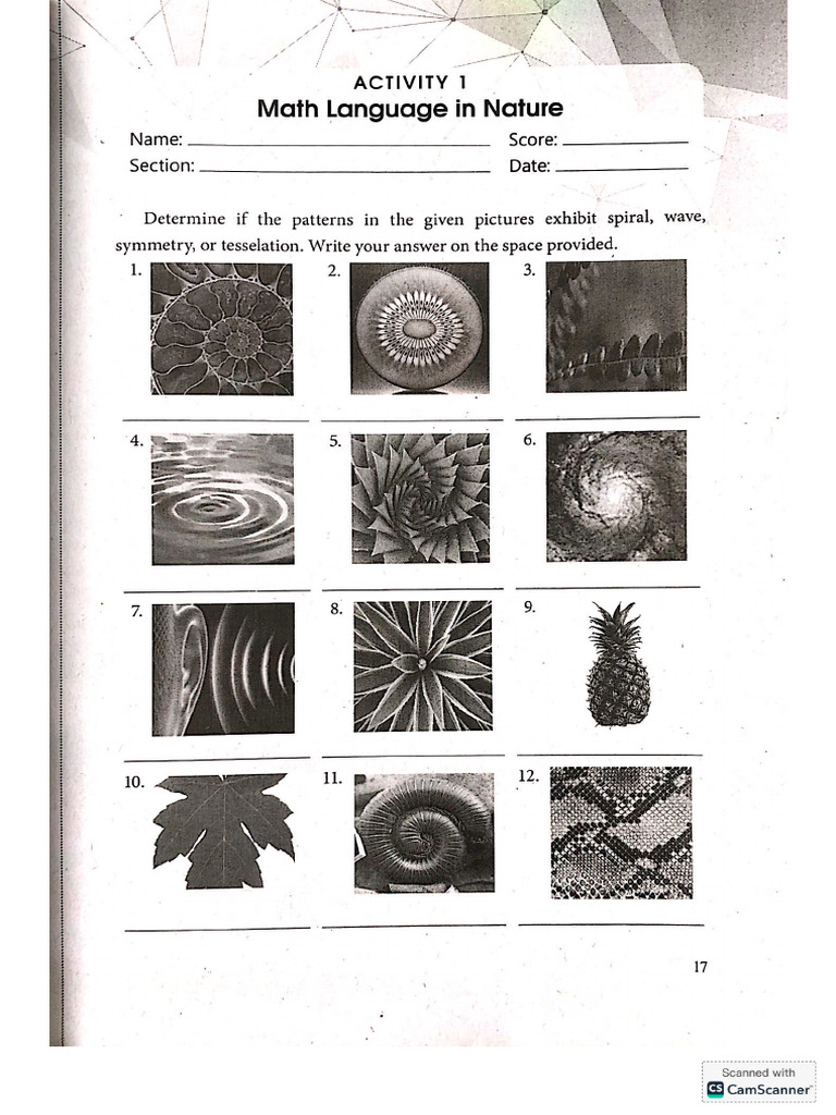 MMW Chapter 1 Book Activities | PDF