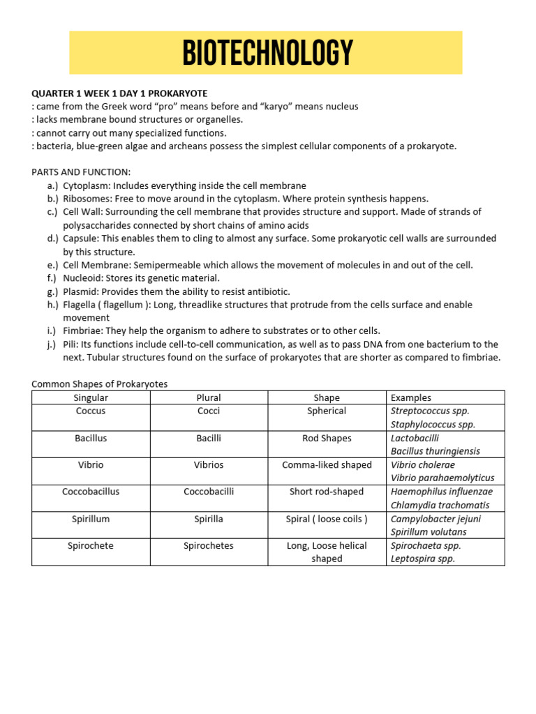 q1 q4 Biotech | PDF | Meiosis | Mitosis