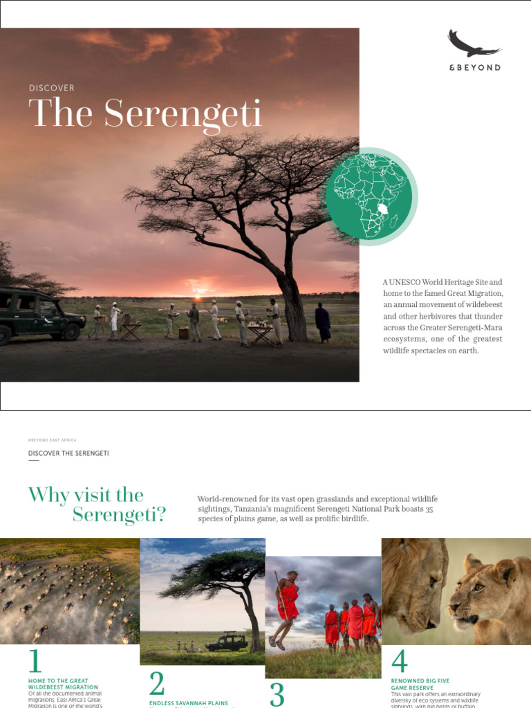 Destination Brochure Serengeti Tanzania | PDF | Mammals Of Africa