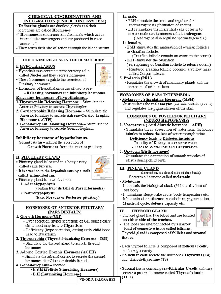 10 CHEMICAL CORDINATION 2023 Mod | PDF | Adrenal Gland | Pituitary Gland
