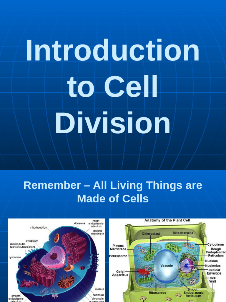 G8 Science Q4 - Week 2 Cell-Division-Mitosis-Meiosis | PDF | Meiosis ...