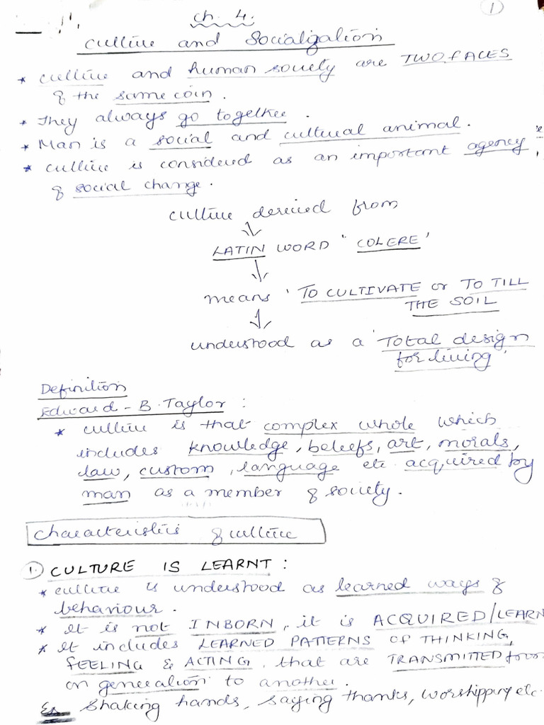 Ch 4 - Culture & Socialization Upto Stages of Socialization | PDF