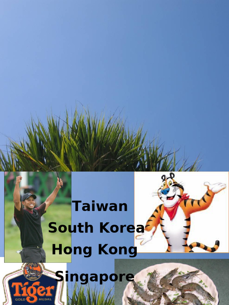 Understanding Newly Industrialised Countries | PDF | Four Asian Tigers ...