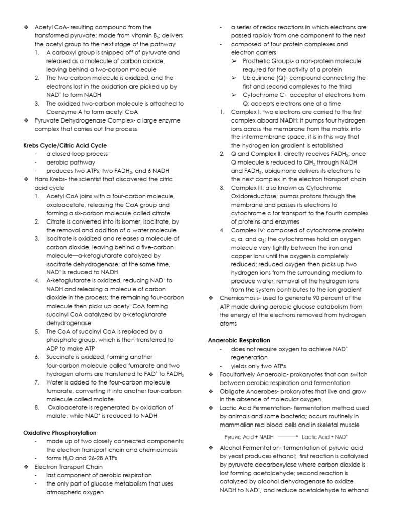 4th QTR Reviewer in Gen. Bio. I-Pages-4 | PDF | Cellular Respiration ...