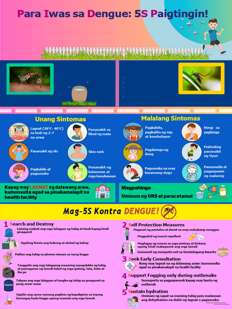 Dengue Infographic 5S | PDF