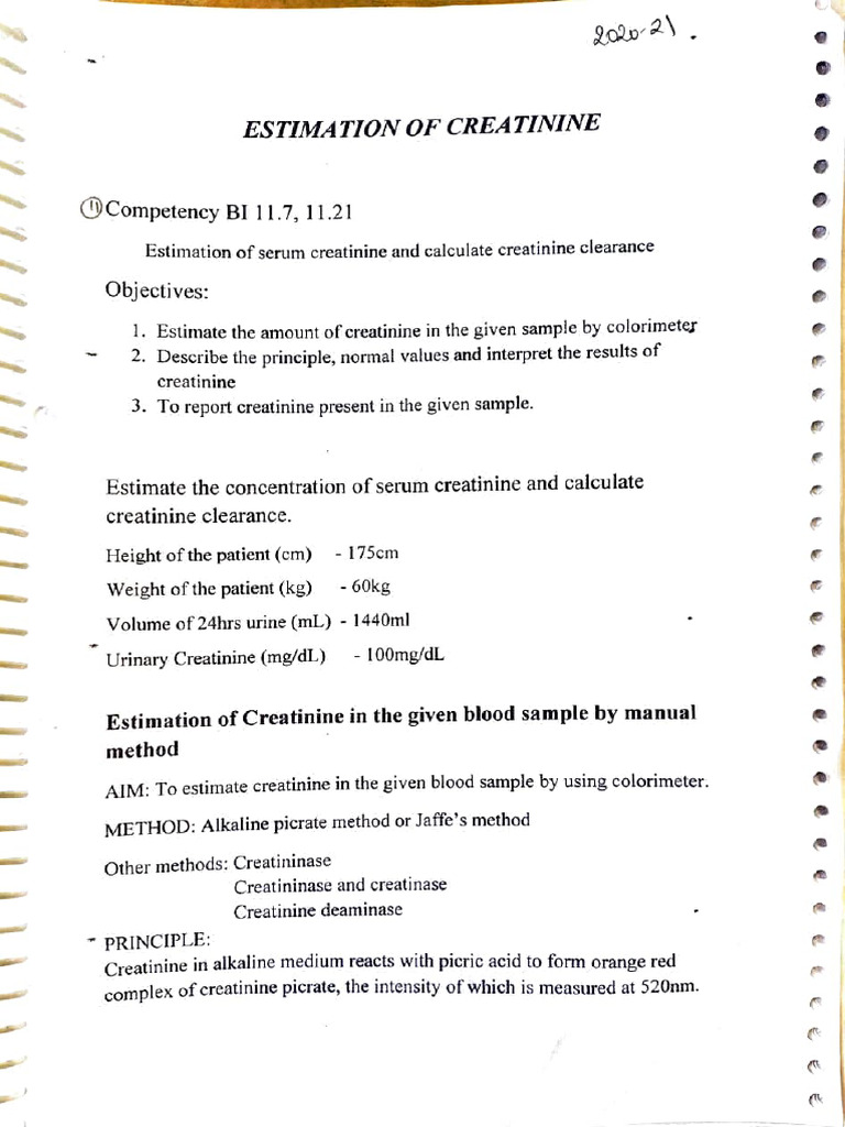 Adobe Scan 11 Sept 2024 | PDF | Creatinine | Kidney