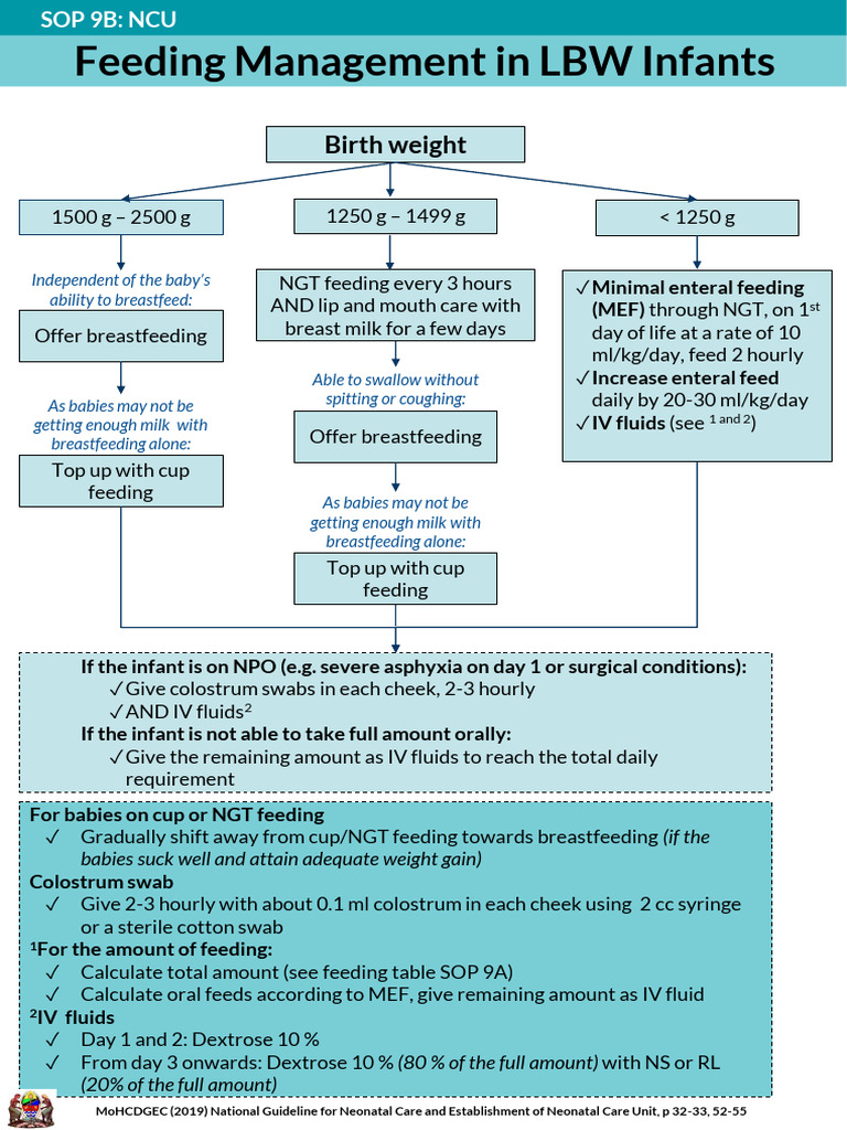 9B Feeding Management | PDF