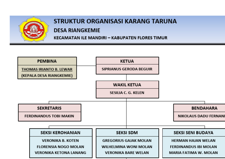 Struktur Organisasi Karang Taruna | PDF