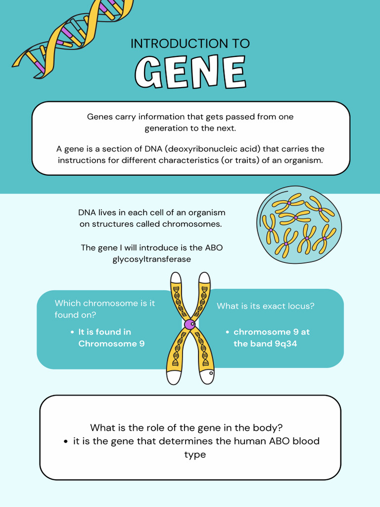 Identifying Extracting Data From Database | PDF
