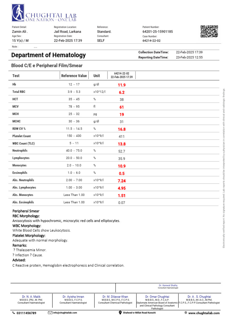 HPLC Test Report for Hematology Analysis | PDF | White Blood Cell ...