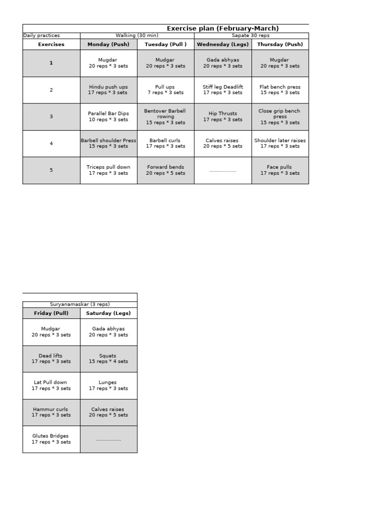 February-March Workout Plan | PDF | Physical Fitness | Physical Exercise