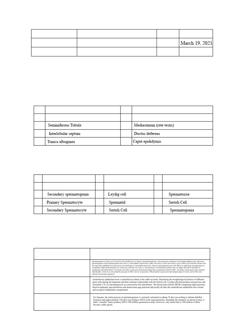 609df6cc5d741 Spermatogenesis Worksheet | PDF | Testicle | Sperm