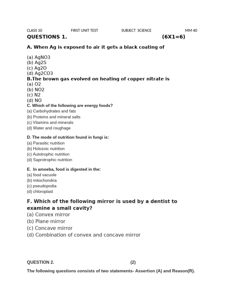 Class 10 Science First Unit Test | PDF | Mirror | Redox