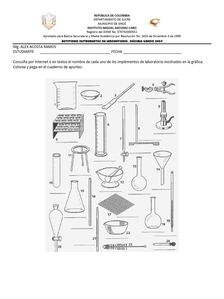 Actividad de Laboratorio Décimo Grado 2024 | PDF
