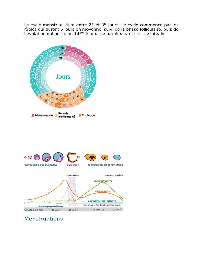 Comprendre le cycle menstruel en 4 phases | PDF