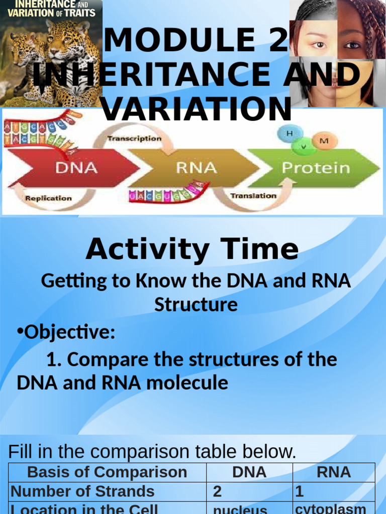 Module 2 Inheritance and Variation | PDF | Dna | Dna Replication