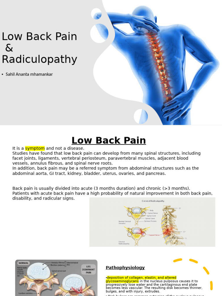 Low Back Pain - Radicu | PDF | Back Pain | Clinical Medicine