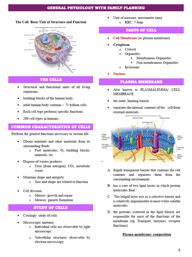DPHY-Lesson-2-Cell-physio-Prelim | PDF | Cell Membrane | Mitosis
