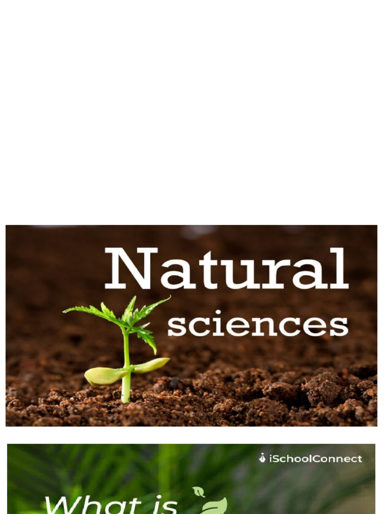 Natural Science | PDF