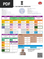 Z-TRACK-METHOD Checklist | PDF | Injection (Medicine) | Medicine
