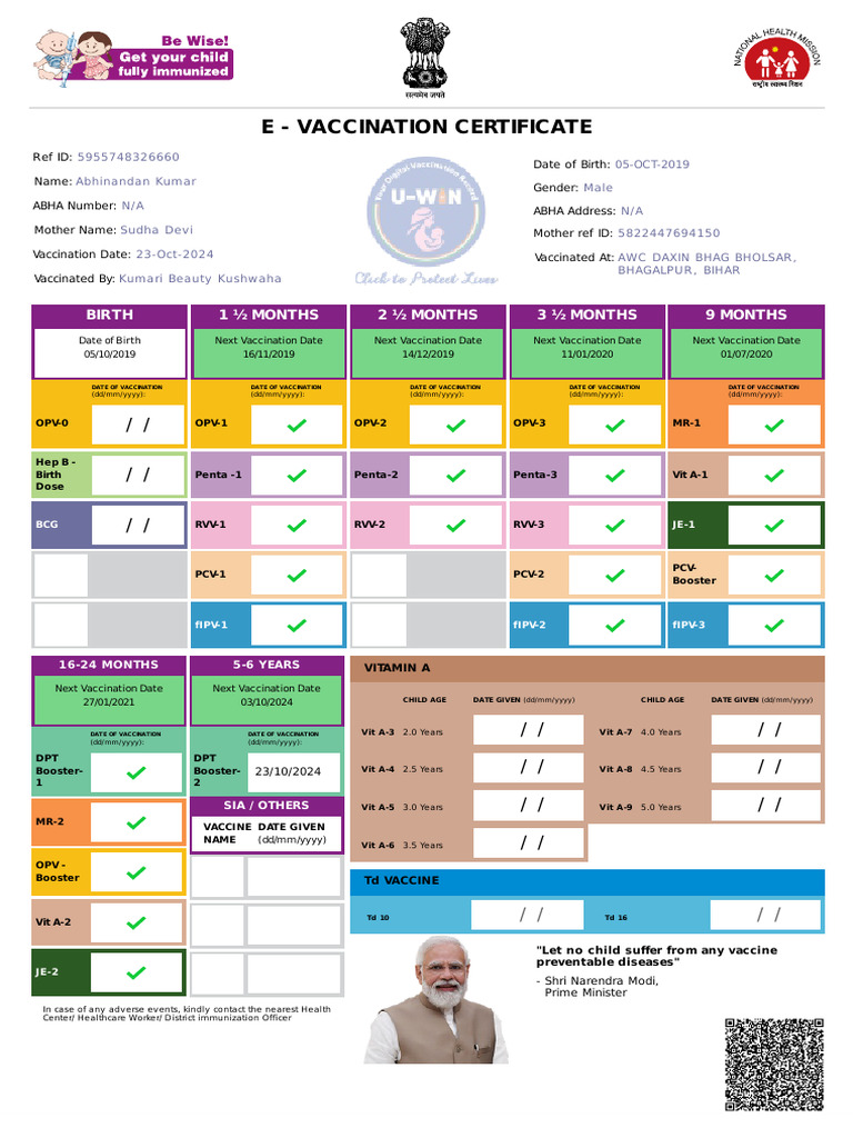 Abhinandan Kumar 20241023 ReportCard | PDF | Vaccination | Medicine