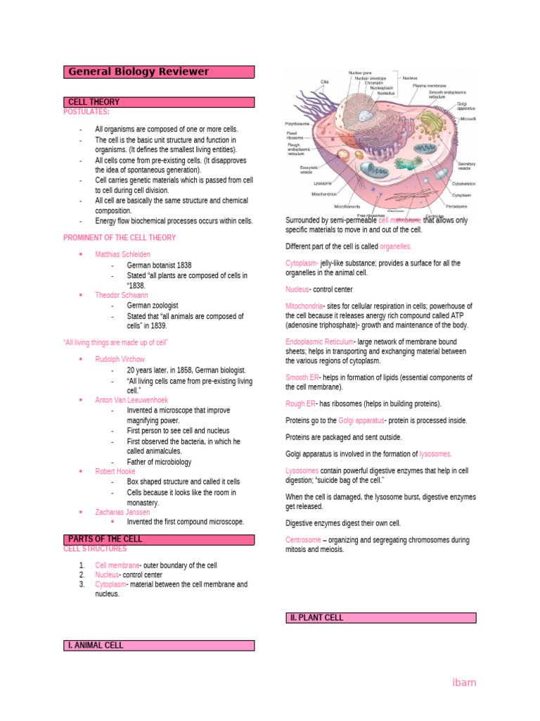 General Biology Reviewer | PDF | Meiosis | Mitosis