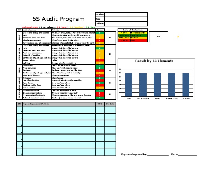 5S Audit | PDF