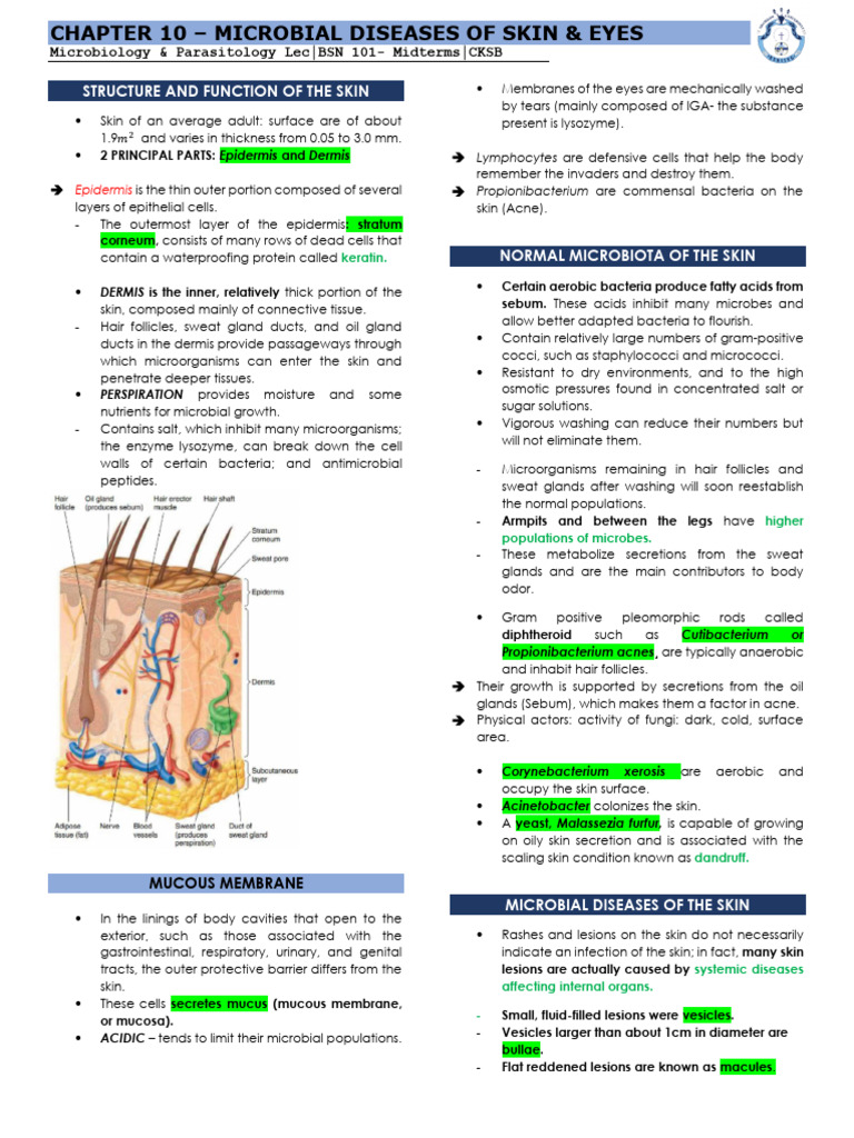 Chapter 10_MICROBIAL DISEASES OF THE SKIN^0EYE | PDF | Smallpox ...
