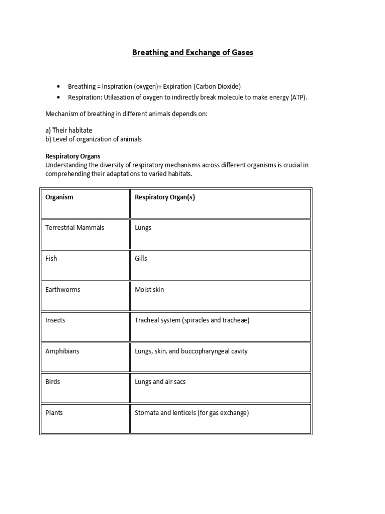Breathing Notes | PDF | Respiratory System | Exhalation