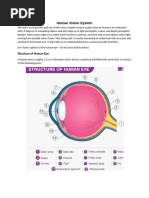 Class 8 Human Eye Notes | PDF | Eye | Human Eye