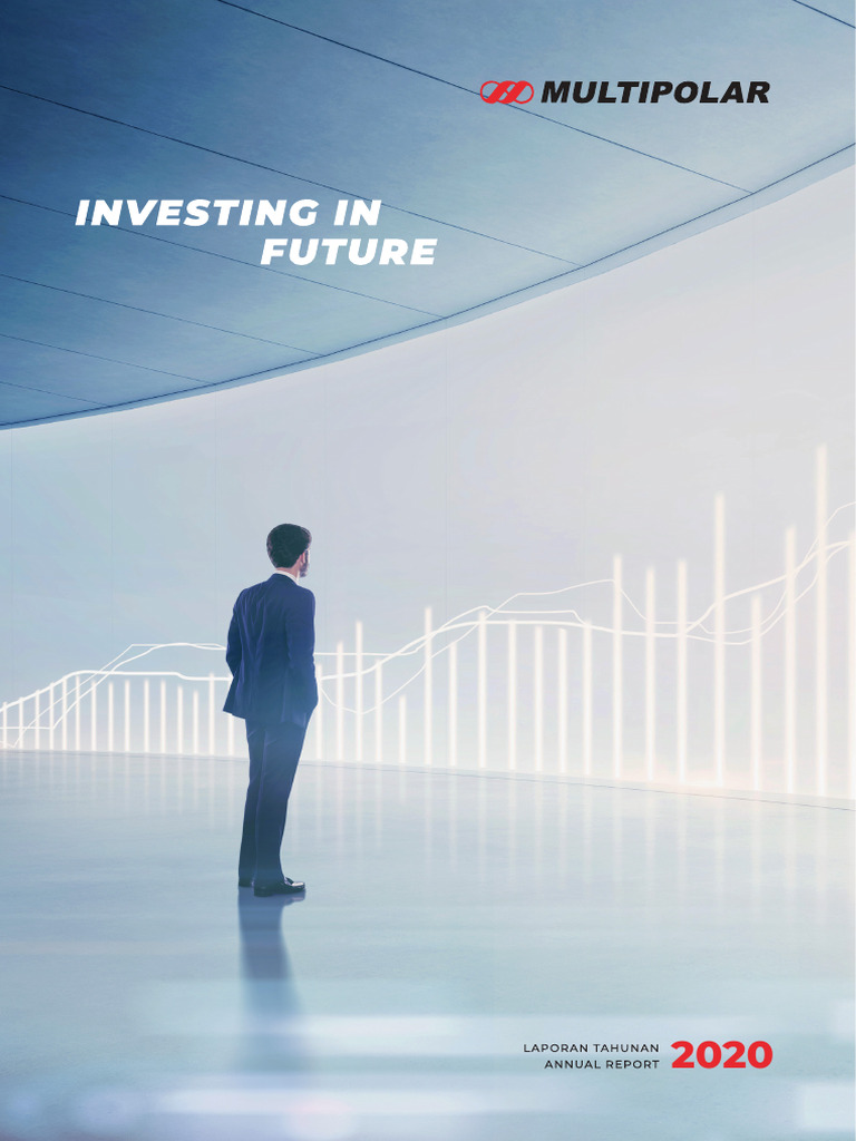 Ar2020 MLPL | PDF | Equity (Finance) | Business