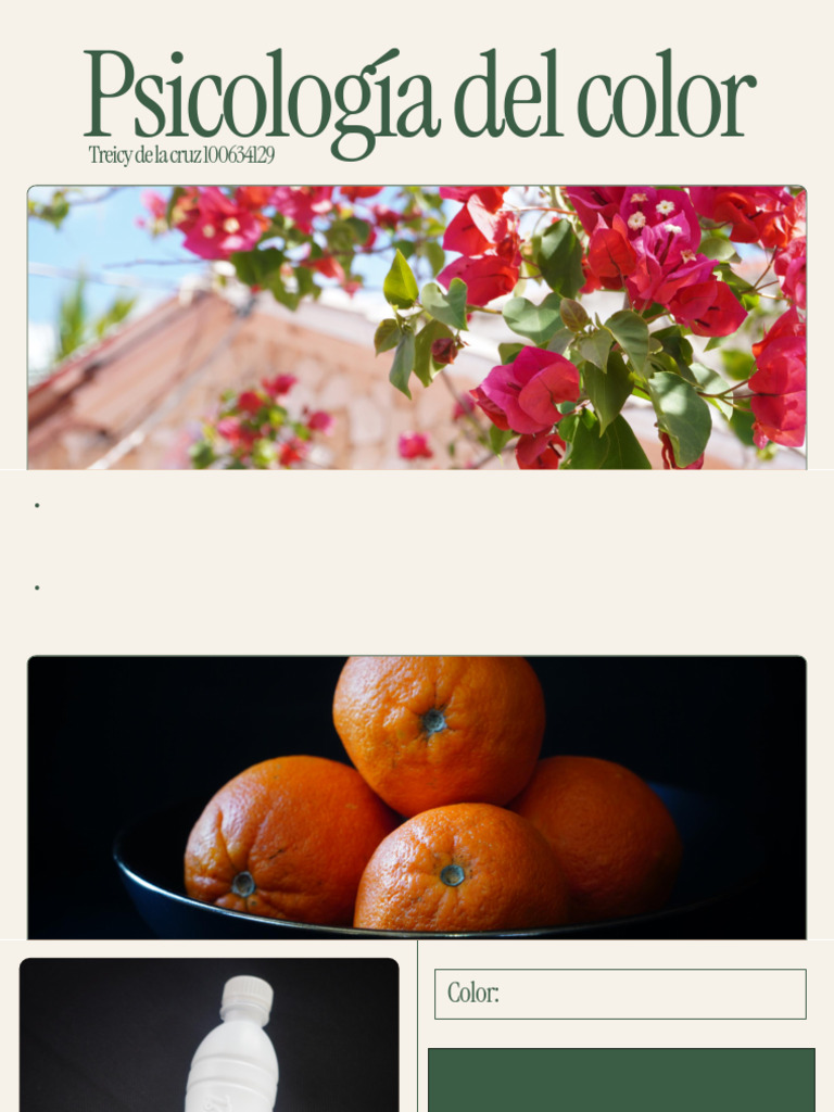 Psicologia Del Color | PDF | Color | Marca